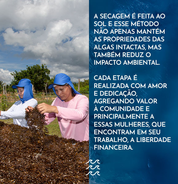 Linha Mareô | L'Occitane au Brésil