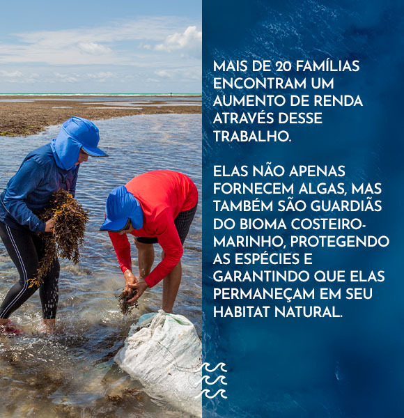 Linha Mareô | L'Occitane au Brésil